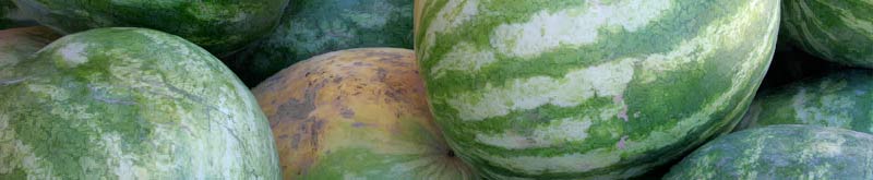 Colusa, Glenn, and Trinity Community Action Partnership - Glenn ...